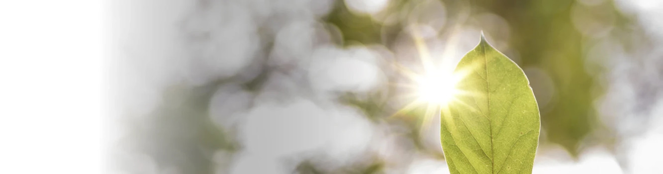 Sustainable Development Goals (SDGs) | BCPG
